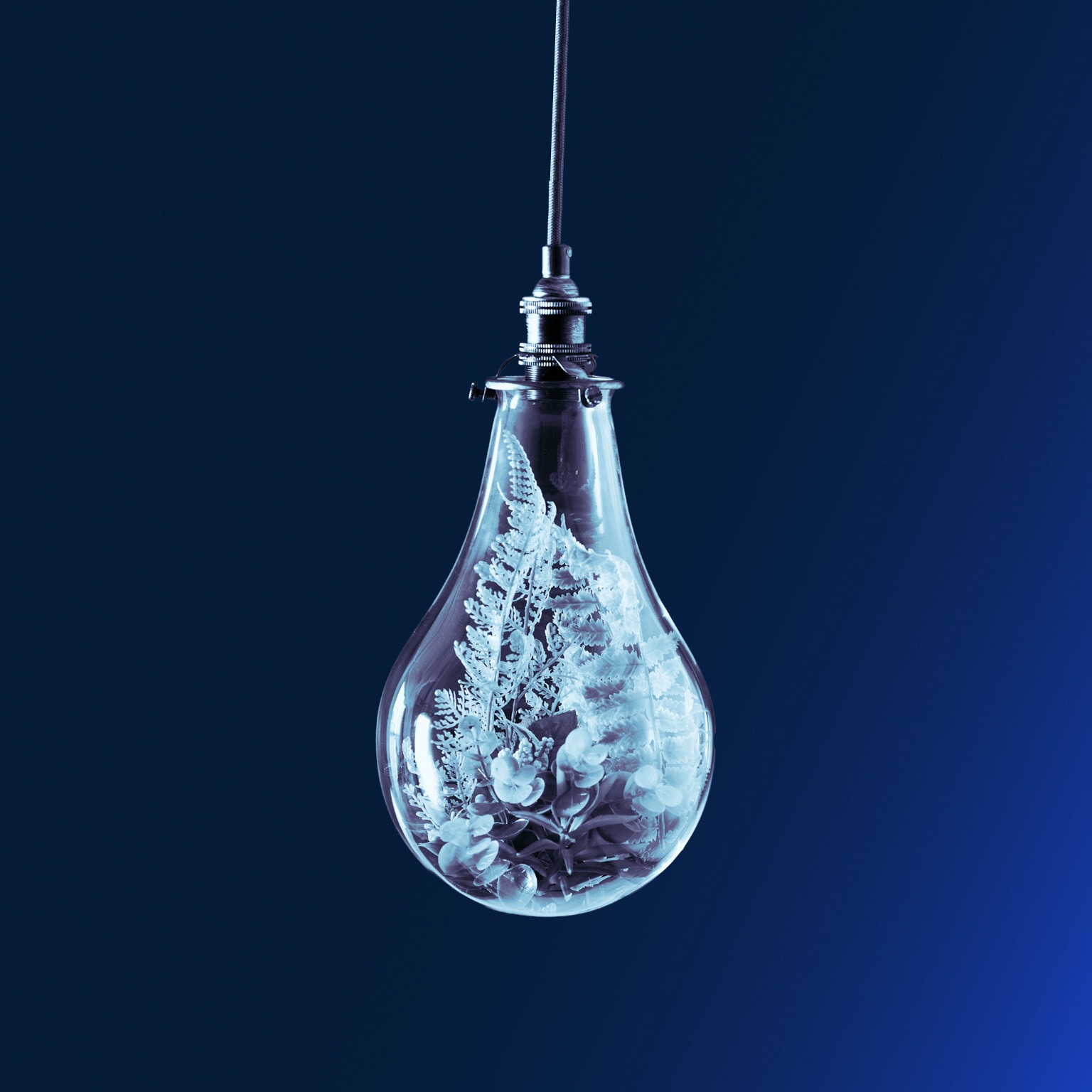 Insights on the net-zero transition | Sustainability | McKinsey & Company